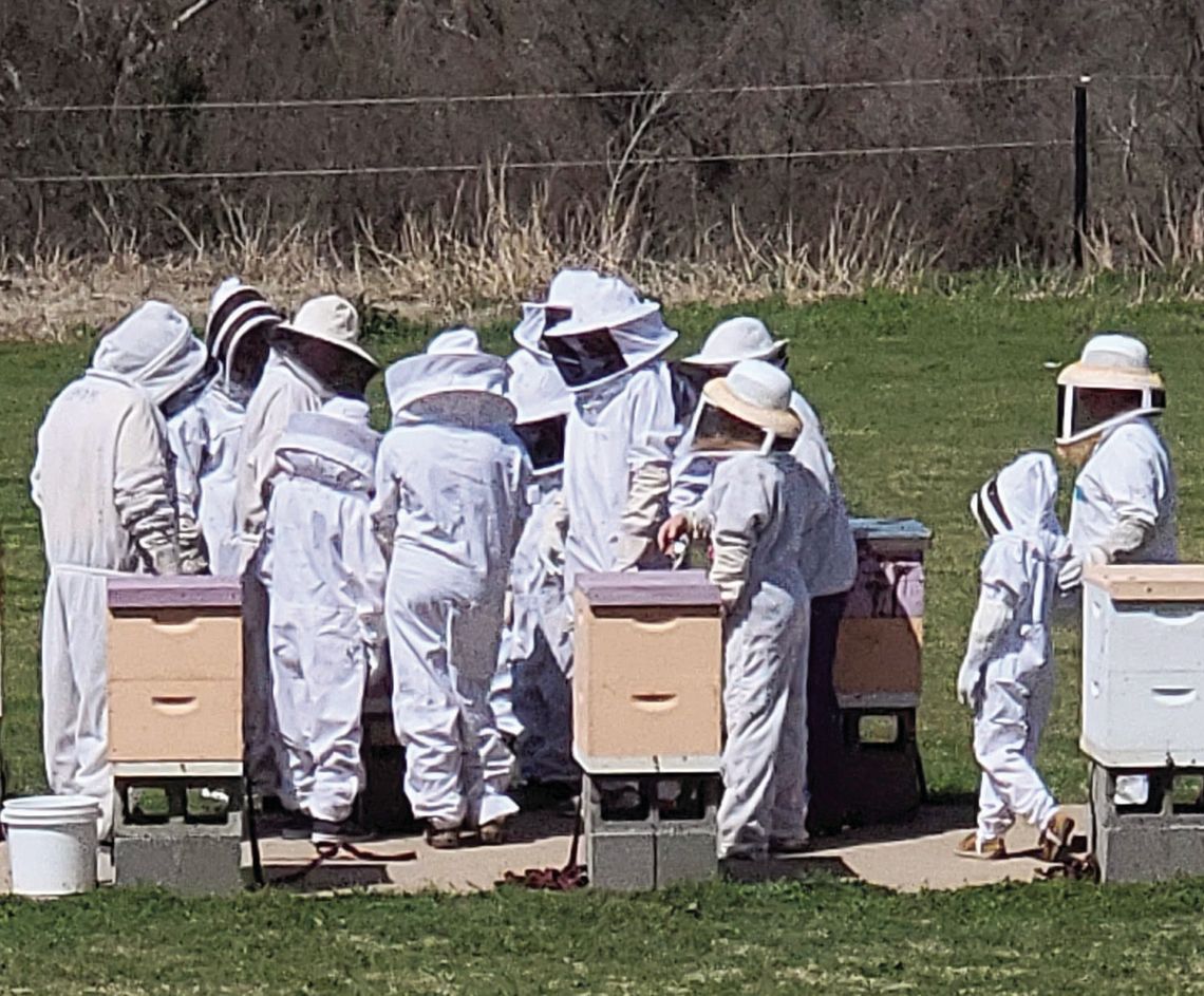 Beginning beekeeping school takes place March 7 in Brenham, Texas